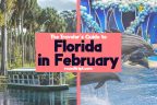 Florida in February: Everything You Need to Know - Roundtript
