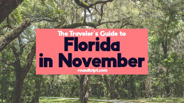 Florida in August: Everything You Need to Know - Roundtript