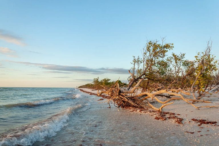The 12 Quietest, Least Crowded Florida Beaches (Local Guide)