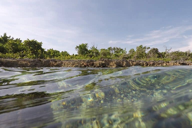 The Bahamas in May: The Ultimate Traveler's Guide
