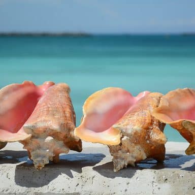 The Bahamas in April: The Ultimate Traveler's Guide