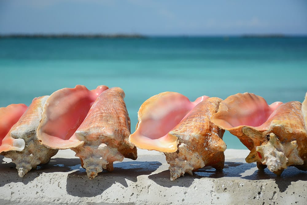 The Bahamas in May: The Ultimate Traveler's Guide